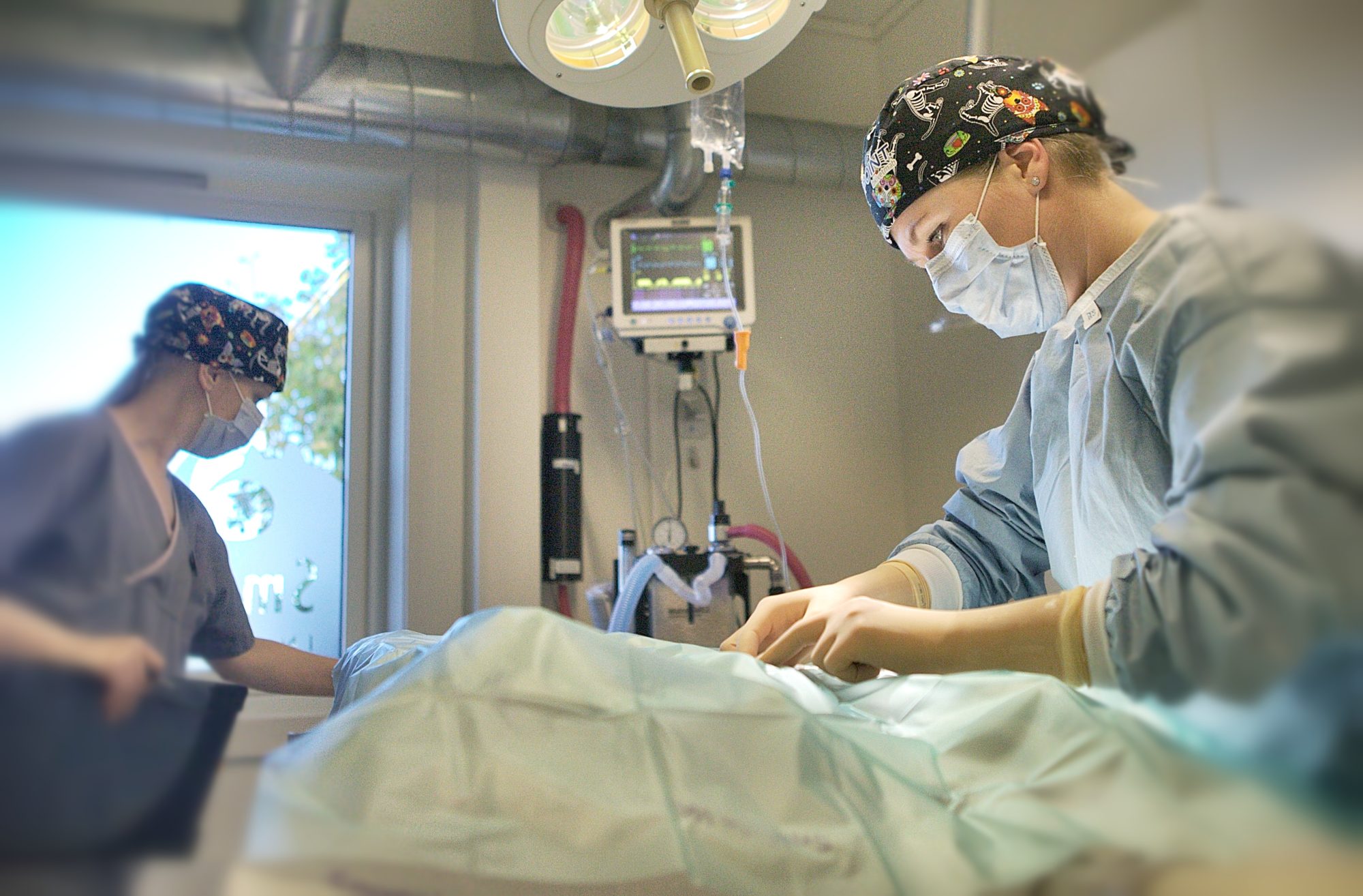 Kirurgi og narkoseovervåkning - Smådyrklinikken Inn-Trøndelag